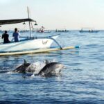 Bali: Lovina dolphin adventure with breakfast and snorkling. - Authentic Encounters and Local Guides