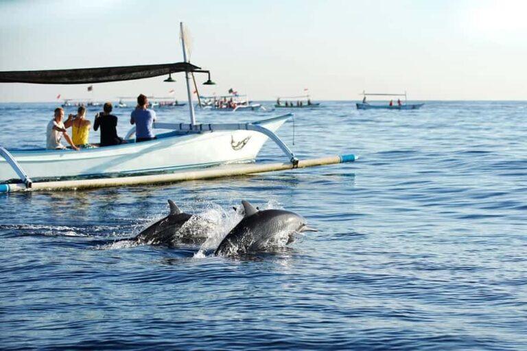 Bali: Lovina dolphin adventure with breakfast and snorkling. - Authentic Encounters and Local Guides