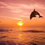 Bali: Lovina Dolphin And Snorkeling With Waterfalls Tours - The Itinerary in Detail