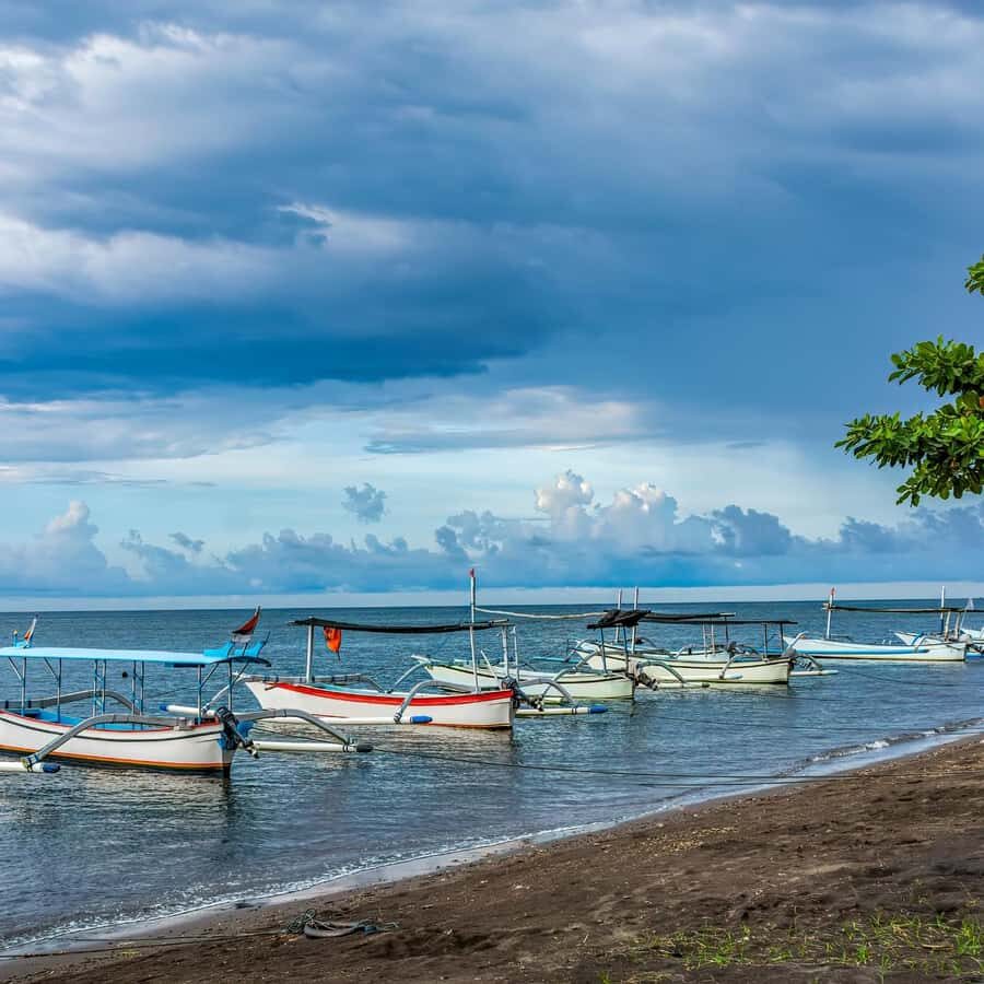 Bali: Lovina Dolphin Watching and Snorkeling Tour - FAQ