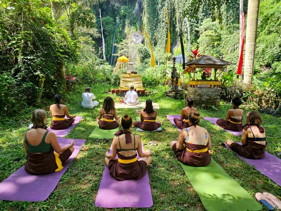 Bali (Lovina): Holy Waterfall Purification Ceremony - Who Will Love This Tour?