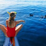 Bali: Lovina Marine Wonders, Dolphin Swim & Snorkeling. - Analyzing the Value