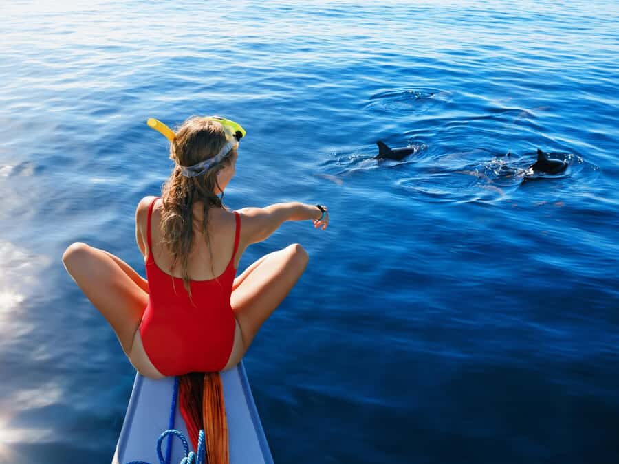 Bali: Lovina Marine Wonders, Dolphin Swim & Snorkeling. - Analyzing the Value