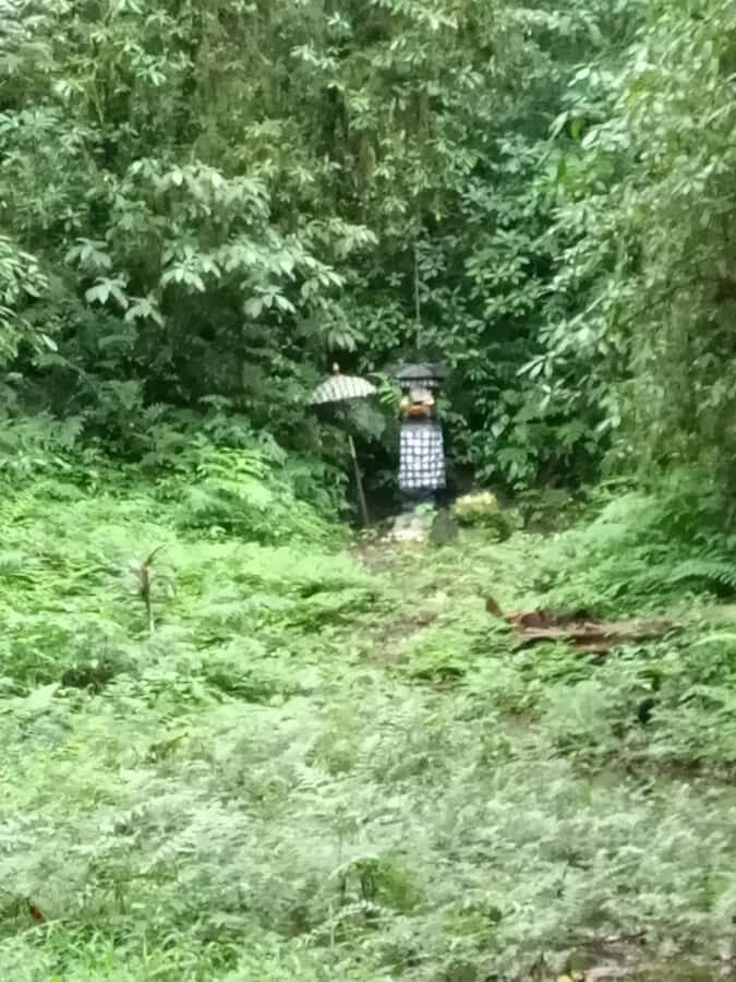 Bali: Mayong Village Trekking Tour - Discovering Mayong: A Glimpse into Bali’s Rural Heart