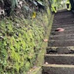 Bali: Melukat Spiritual Healing Experience - Who Should Consider This Experience?