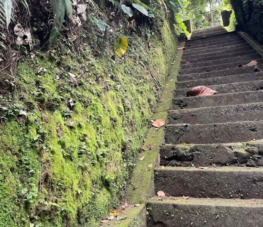 Bali: Melukat Spiritual Healing Experience - Who Should Consider This Experience?