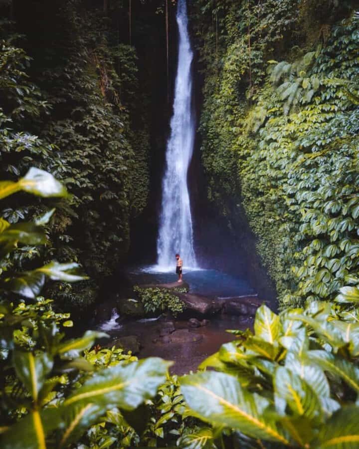 Bali: Monkey Forest Sangeh ,Temple & Waterfall- Private Tour - Practical Details: How the Tour Works