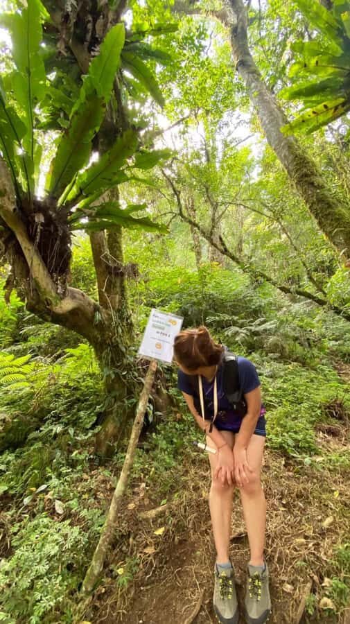 Bali: Mount Adeng Guided Hike with Temple Visit - Who Would Enjoy This Tour?