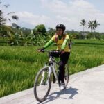 Bali Mountains and Villages Cycling Tour - What Makes This Tour Stand Out?