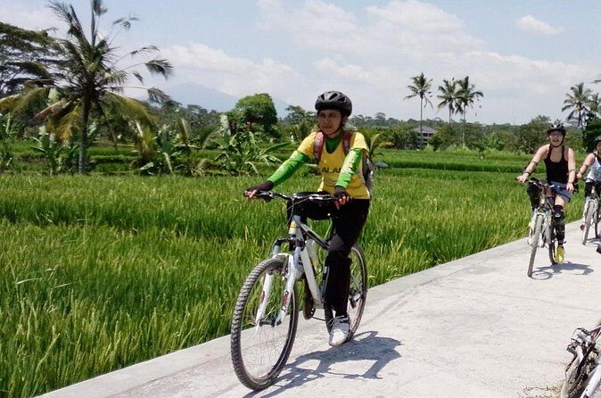 Bali Mountains and Villages Cycling Tour - What Makes This Tour Stand Out?