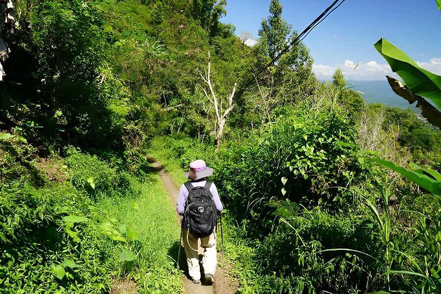 Bali: Munduk Waterfall and Cooking class - Visiting Munduk Waterfall