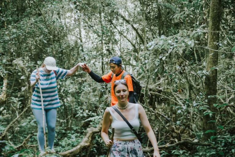 Bali: Munduk Waterfalls Trek, Twin Lakes and Temple Tour - Transportation, Duration, and Group Size