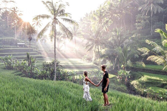 Bali Night Market Experience and Ubud Highlights tour - Authenticity & Traveler Feedback