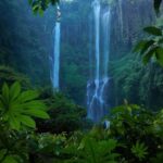 Bali : North Bali Hidden Gems - Costumized Tour - Who Should Consider This Tour?