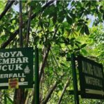 Bali: North Bali Tour With Flexible Itinerary Options - The Value of the Experience