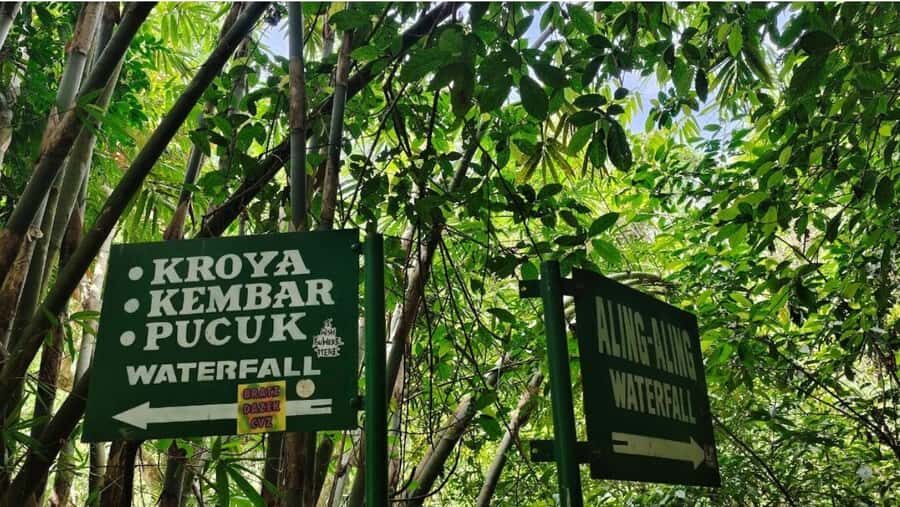 Bali: North Bali Tour With Flexible Itinerary Options - The Value of the Experience