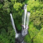 Bali Northern Trip : Majestic Waterfall Tour - Who Should Consider This Tour?