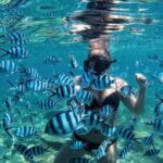 Bali/Nusa Dua: Snorkeling, Glass Boat Ride & Turtle Center - Breaking Down the Itinerary