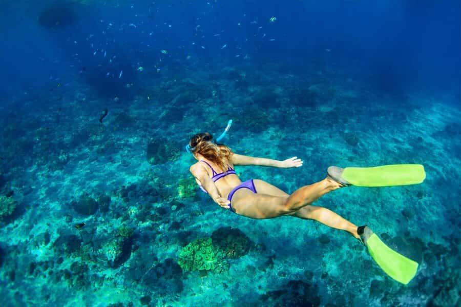 Bali: Nusa Lembongan Snorkeling & Mangrove Forest Trip - The Value of the Experience