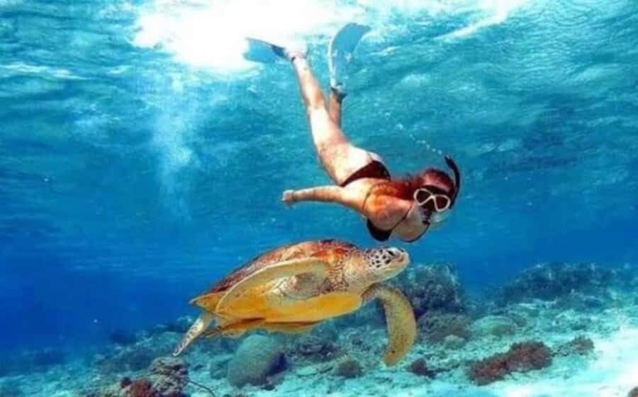 Bali: Nusa Penida Full-Day Trip with Snorkeling - Land Exploration: Iconic Spots and Scenic Beauty