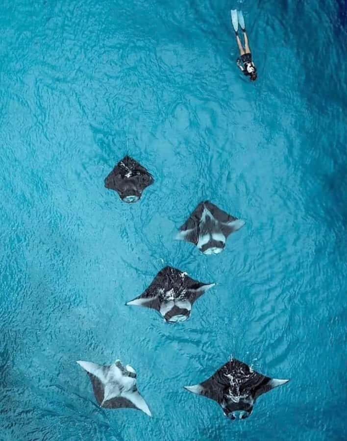 Bali - Nusa Penida Highlight Snorkeling and Land Tour - Practical Details and Considerations