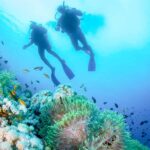 Bali: Padangbai Blue Lagoon Beginner's Dive Experience - The Itinerary in Detail
