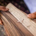 Bali Palm Reading with Jatiluwih Rice Terrace Walking Tour - What’s Included and What’s Not