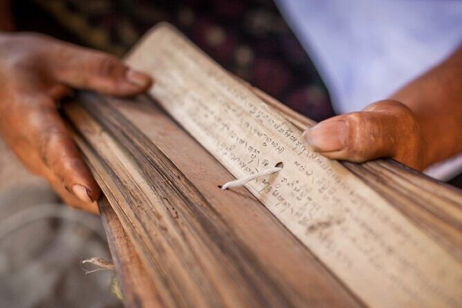 Bali Palm Reading with Jatiluwih Rice Terrace Walking Tour - What’s Included and What’s Not