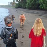 Bali: Pink Buffalo Adventure with Culinary Experience - A Detailed Breakdown of the Itinerary