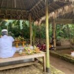 Bali: Pratiti Reading at Samsara Living Museum - Breaking Down the Itinerary