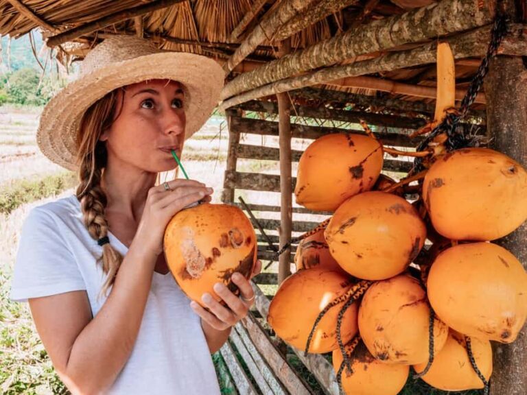 Bali: Private Balinese Home, Temple, and Waterfall Tour - Practical Details: What You Need to Know