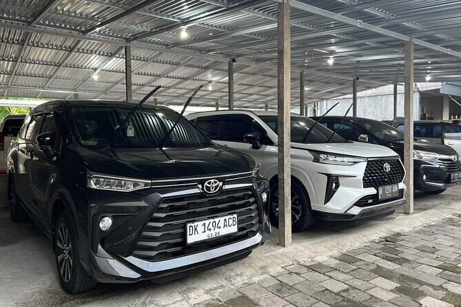 Bali Private Car Charter & Customize Tour With Driver English Speaking-Free WiFi - Why Choose a Custom Bali Tour?