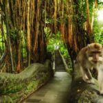 Bali Private Car Charter with English Speaking Driver - The Itinerary: What Are the Highlights?