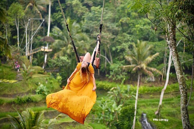 Bali Private Car Hire with English-Speaking Driver - Who Should Consider This Tour?