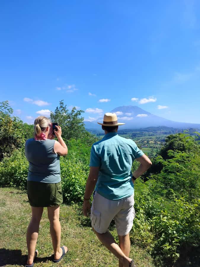 Bali: Private Customized Full-Day Tour with Driver - What’s Included and How It Works