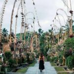 Bali: Private Day Trip to Waterfall & Traditional Village - The Practicalities: What to Expect