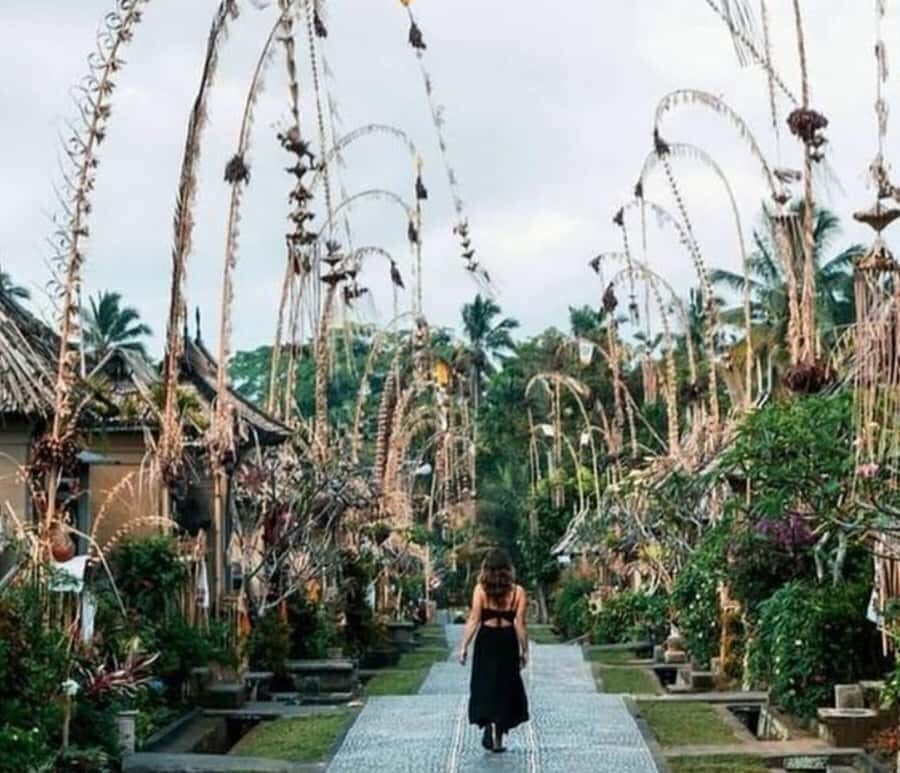 Bali: Private Day Trip to Waterfall & Traditional Village - The Practicalities: What to Expect