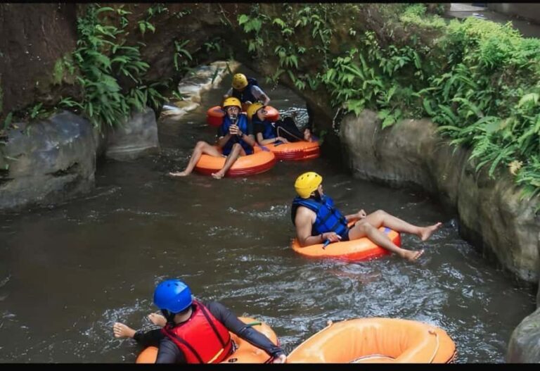 Bali: Private River Tubing & Hidden Canyon Experience - The Scenic Landscape and Bird’s Eye View