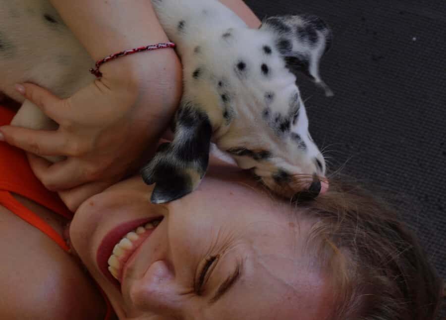 Bali: Puppy Yoga Class - Rescue Puppies & Refreshing Drinks - FAQ