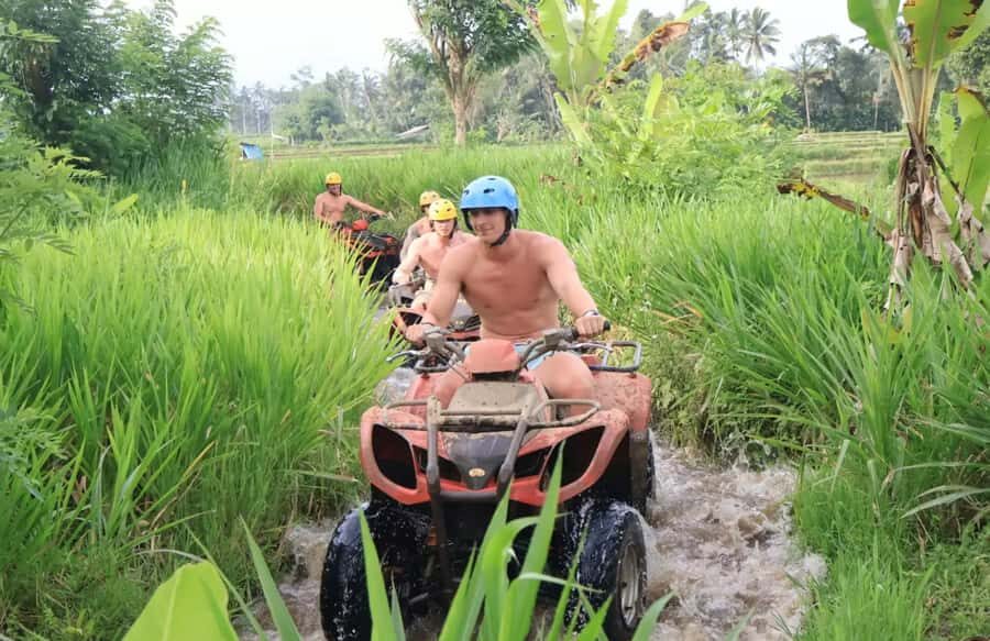 Bali: Quad Bike Adventure with Ubud Monkey Forest Tour - Ubud Monkey Forest: Playful Monkeys in a Sacred Forest