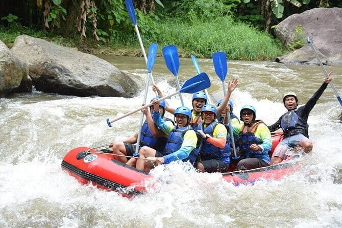 Bali Rafting 2 Hours with Buffet Lunch - The Sum Up: Is It Worth It?