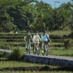 Bali: Rice Field and Village Cycling Tour with Guide - Who Will Love This Tour?