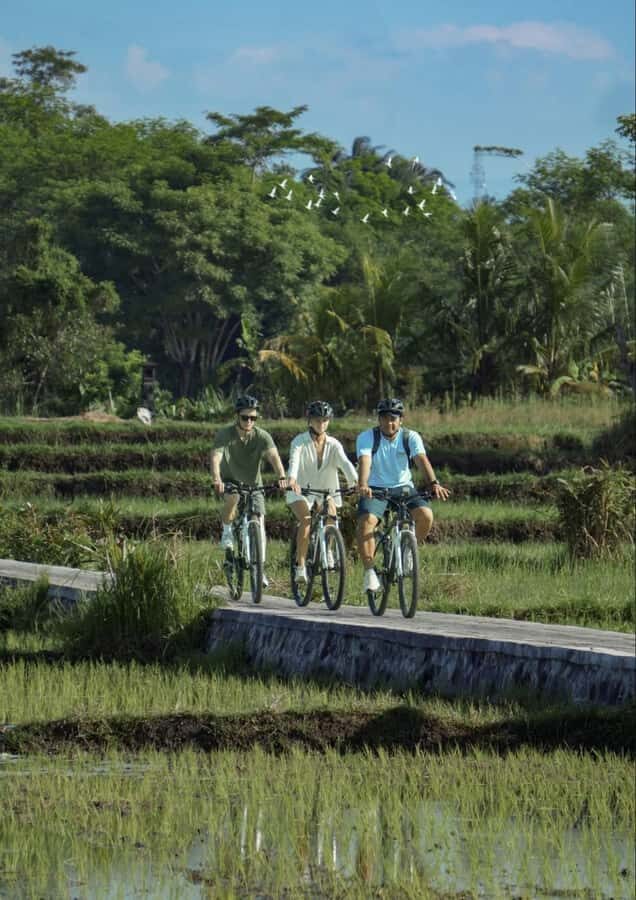 Bali: Rice Field and Village Cycling Tour with Guide - Who Will Love This Tour?
