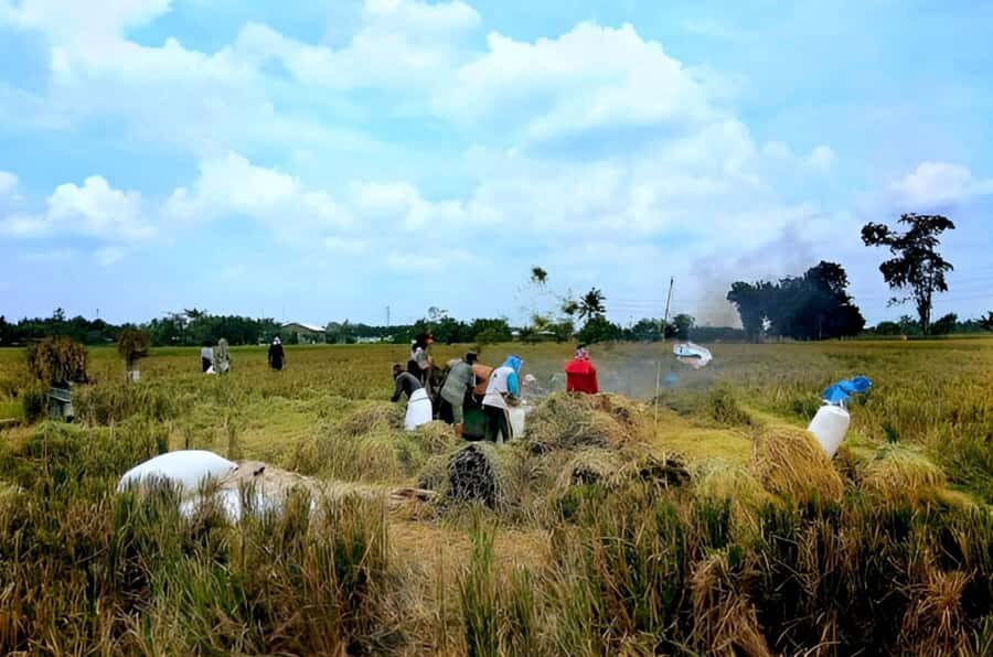 Bali: Rice Terrace Trekking & Jungle River Tubing Adventure - Who Is This Tour Best For?