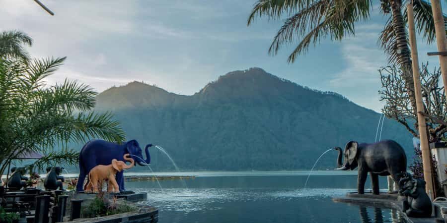 Bali: Rice Terrace & Volcano Tour with Penglipuran Village - What Makes This Tour Stand Out?