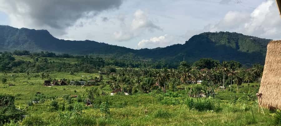 Bali Rice Terraces & Cultural Temples Tour - The Walking Itinerary: What You’ll See and Do