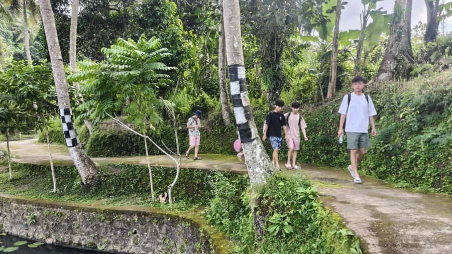 Bali: Rural Trekking and River Adventure Tour - What We Appreciate and Consider