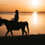 Bali: Saba Beach Premium Horseback Riding Experience - Setting the Scene: What the Tour Includes