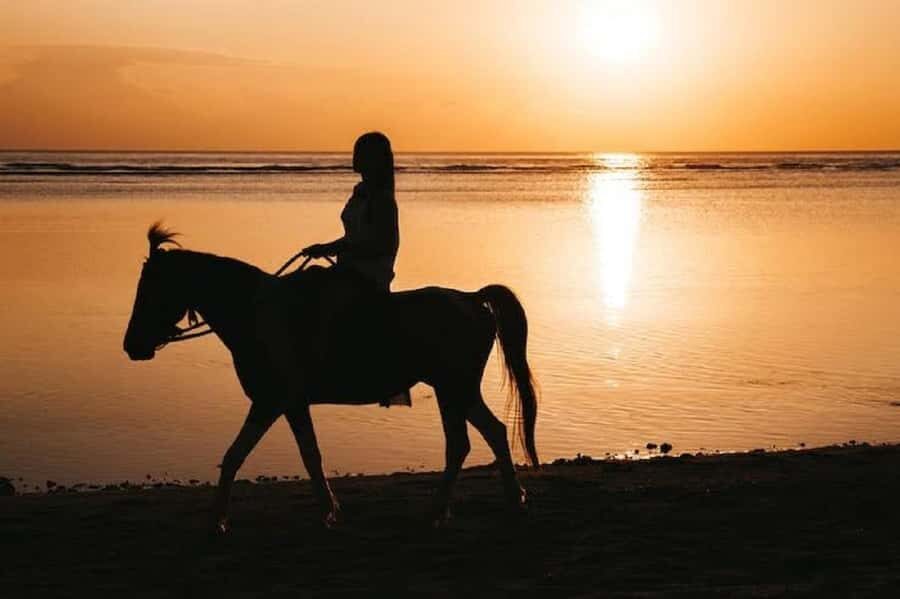 Bali: Saba Beach Premium Horseback Riding Experience - Setting the Scene: What the Tour Includes