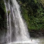 Bali: Sacred Monkey Forest, Rice Terraces & Ritual Tour - Sacred Monkey Forest Sanctuary